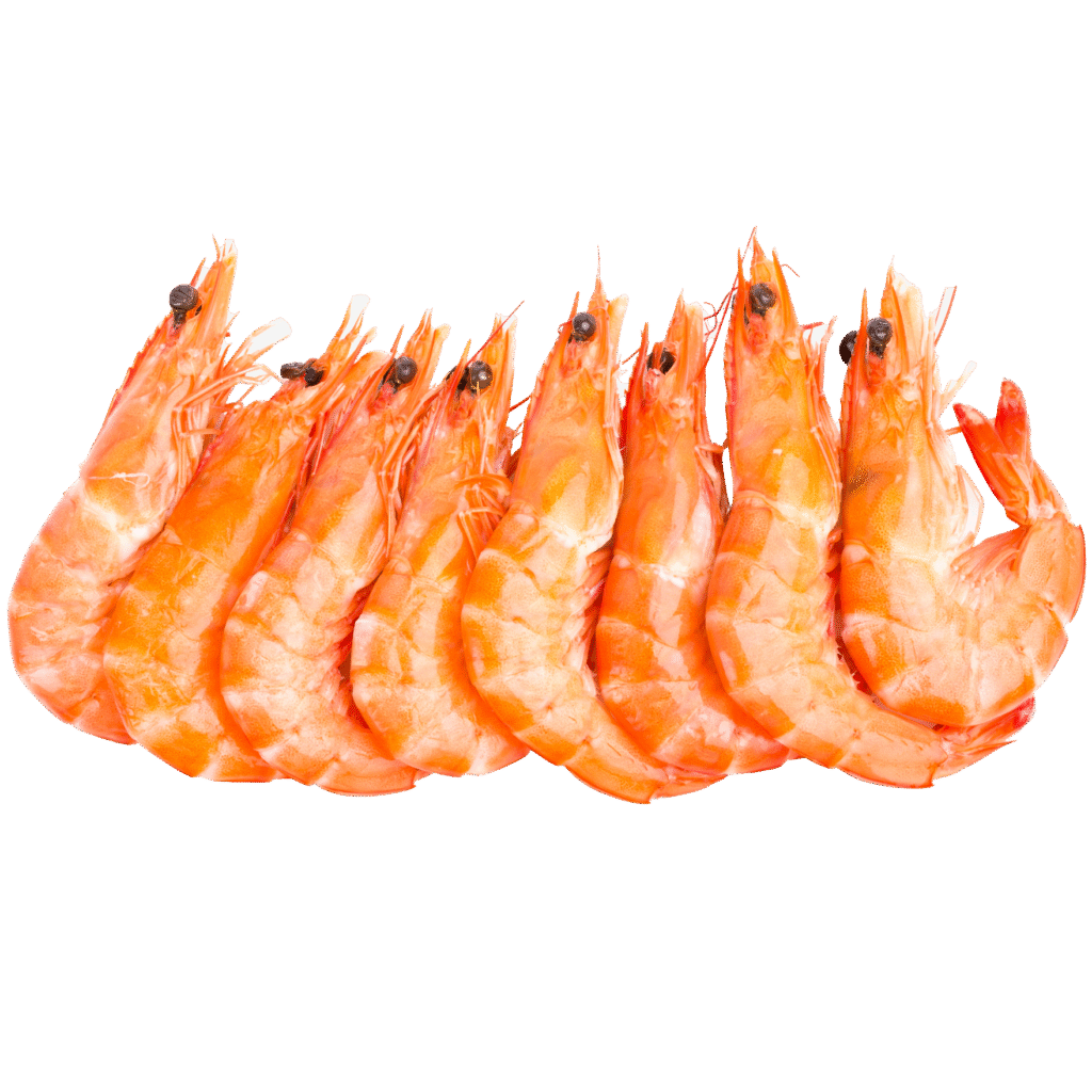 VANNAMEI COOKED SHRIMP (HOSO) | Awafood JSC